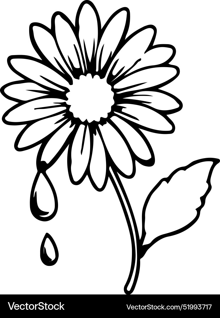 An african daisy silhouette art Royalty Free Vector Image