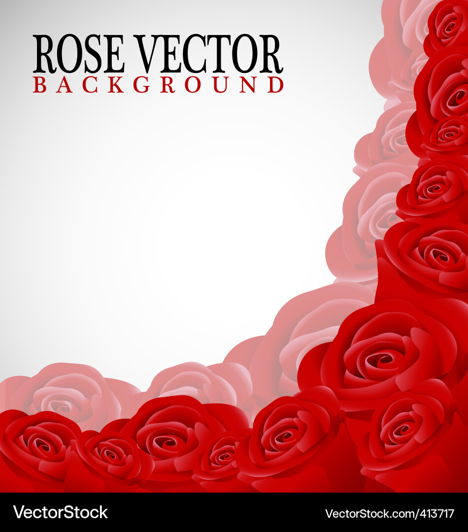 Red Rose Corner Background Royalty Free Vector Image