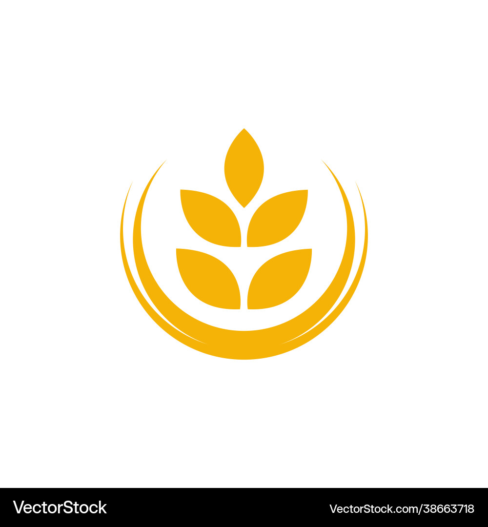 Agriculture wheat rice icon design Royalty Free Vector Image
