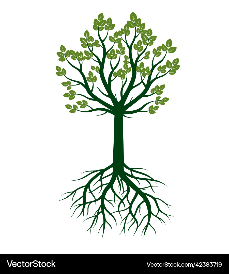 Green tree with roots outline Royalty Free Vector Image
