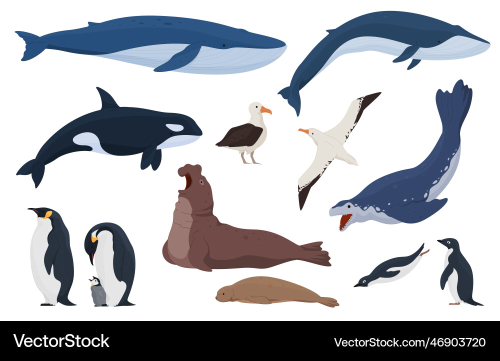 Animals from antarctica cartoon style terrestrial Vector Image