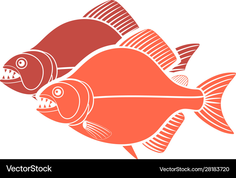 Piranha Royalty Free Vector Image - VectorStock