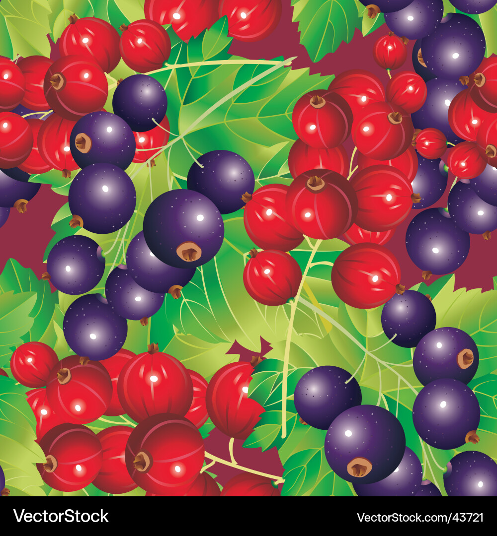 Berry fruit background Royalty Free Vector Image