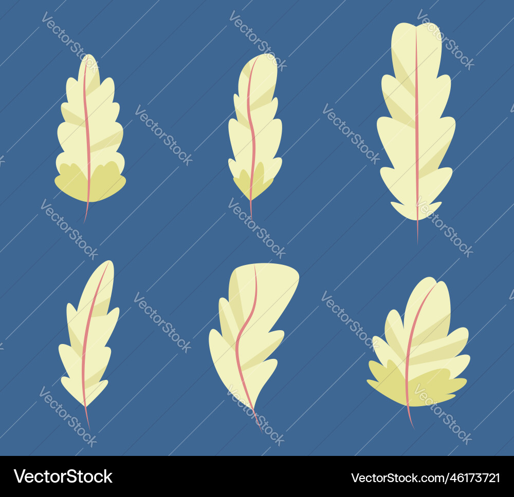 Set of yellow feathers in flat style Royalty Free Vector
