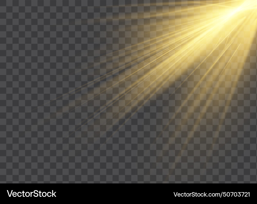 Transparent sunlight special lens flash light Vector Image