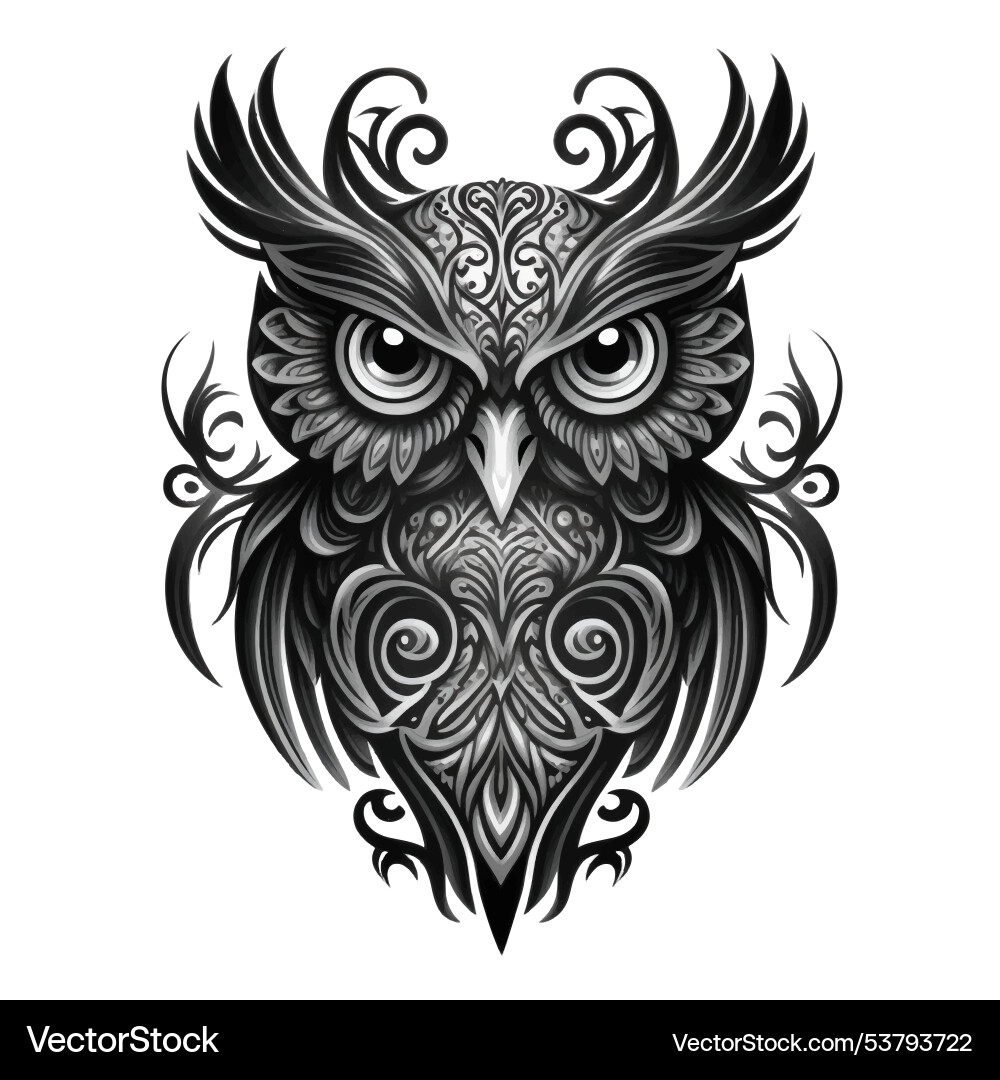 Beautiful black and white ornamental owl Vector Image