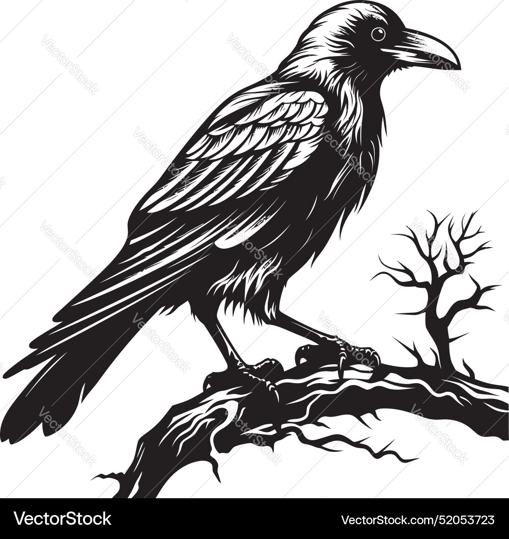 Enigmatic raven skull icon logo design mystical Vector Image
