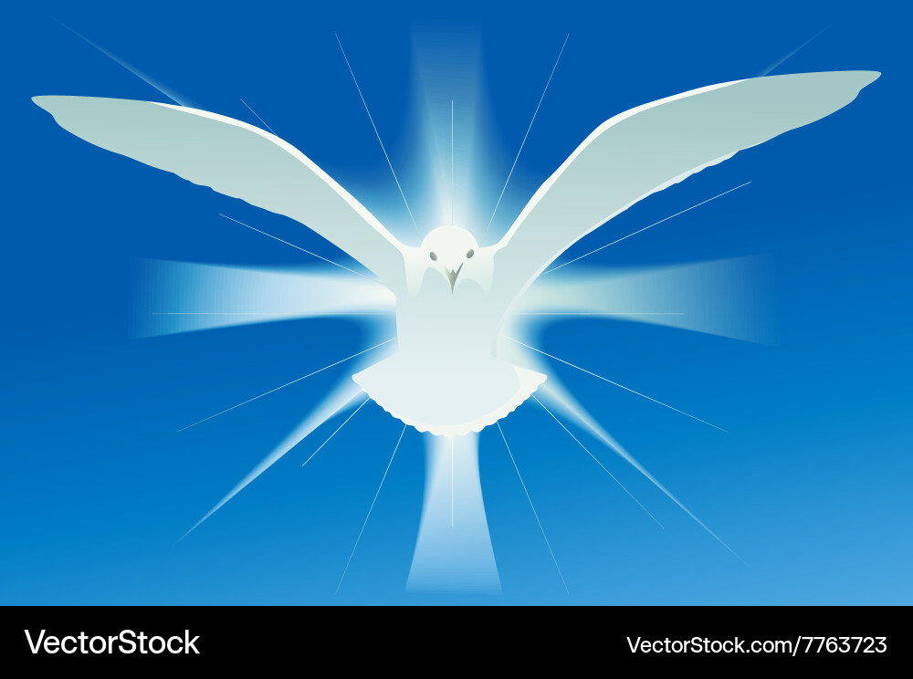 Holy Spirit Dove Royalty Free Vector Image - VectorStock