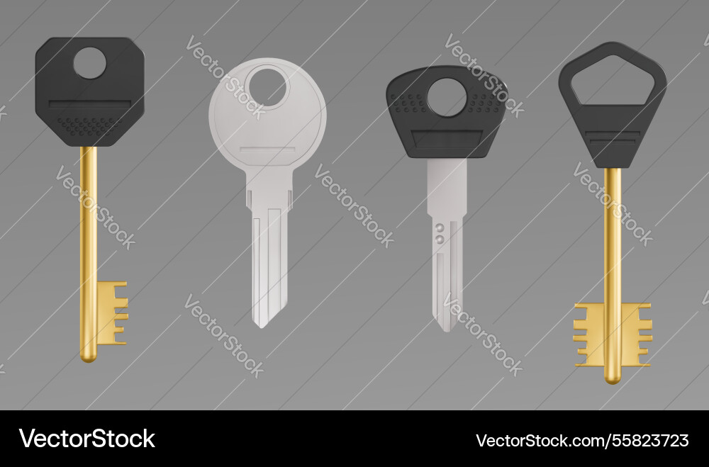 Realistic key set Royalty Free Vector Image - VectorStock