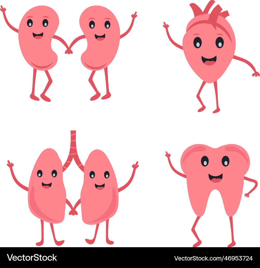 Free Excretory Human System Vector Images (28)