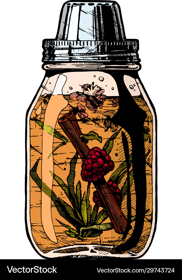 Lemonade in mason jar Royalty Free Vector Image