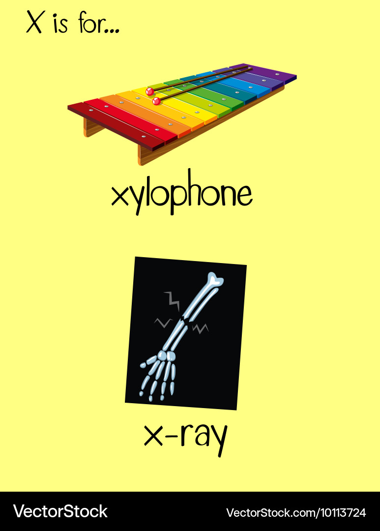 Two words begin with letter x Royalty Free Vector Image