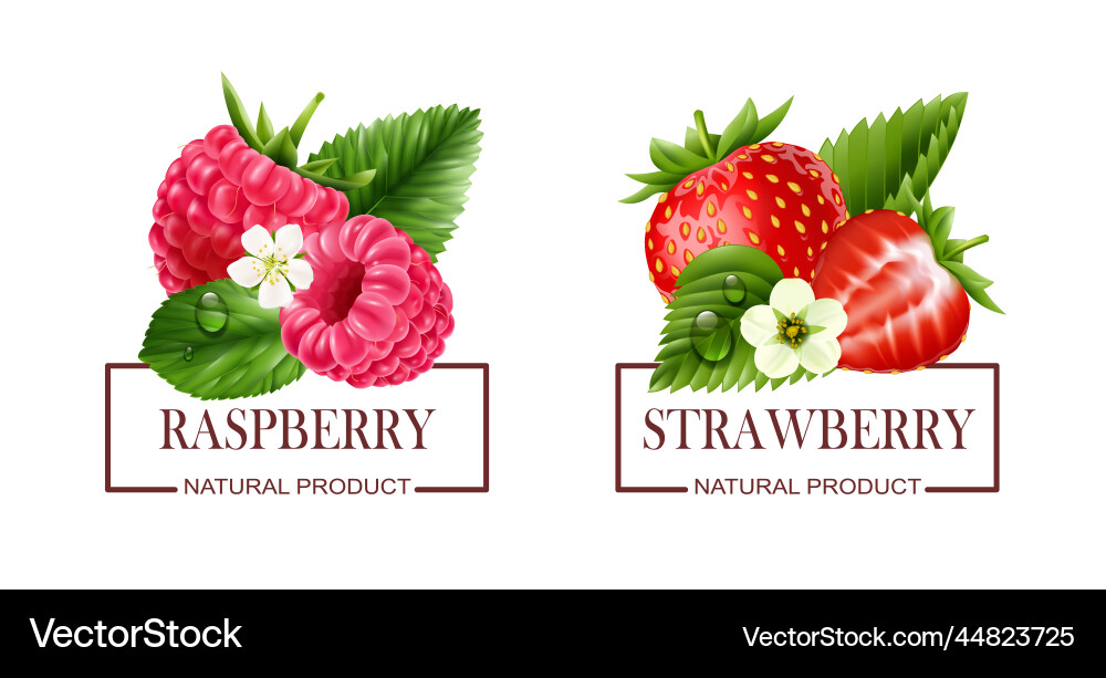 Berry labels realistic set Royalty Free Vector Image