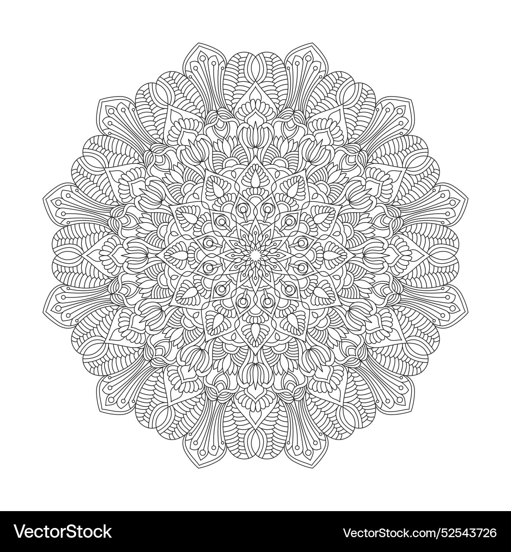 Creativity style mandala of coloring book page Vector Image