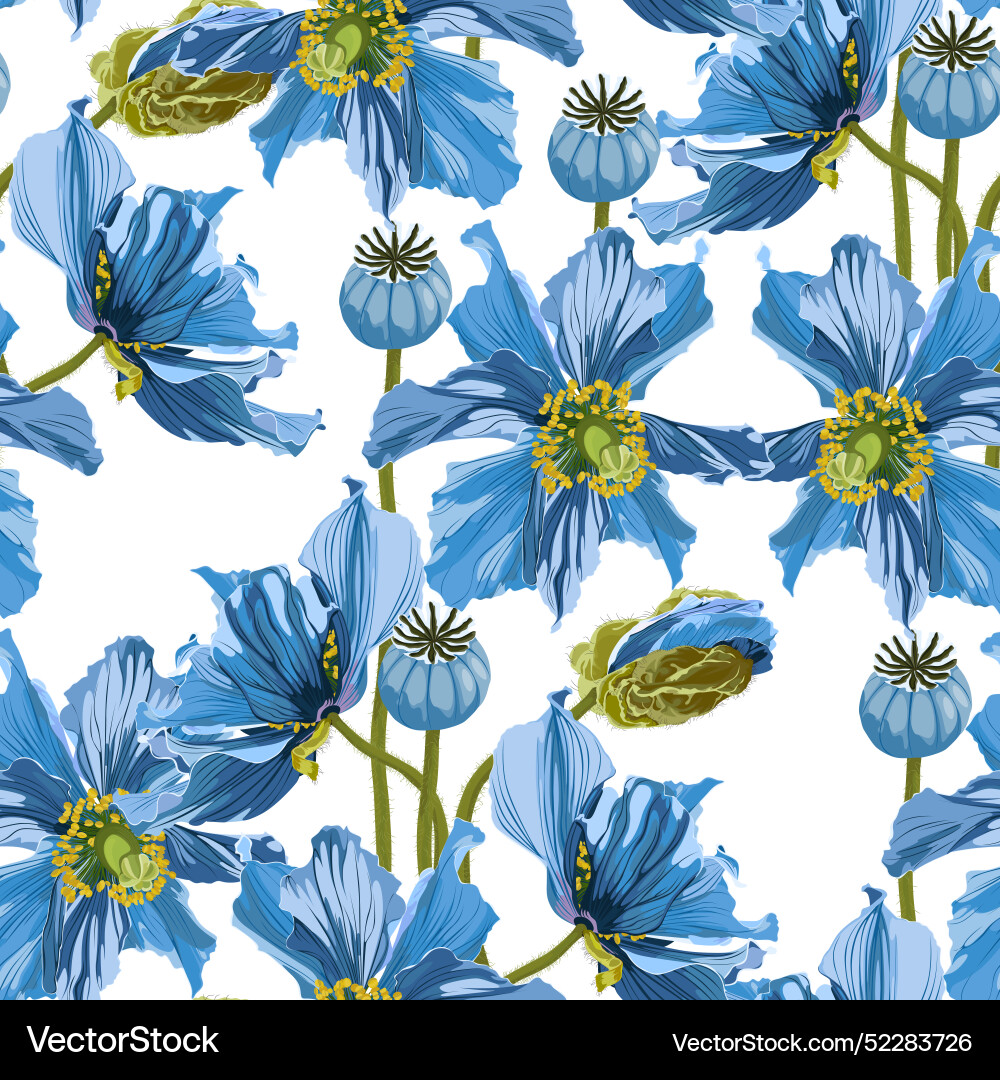 Seamless pattern with blue poppy flowers Vector Image