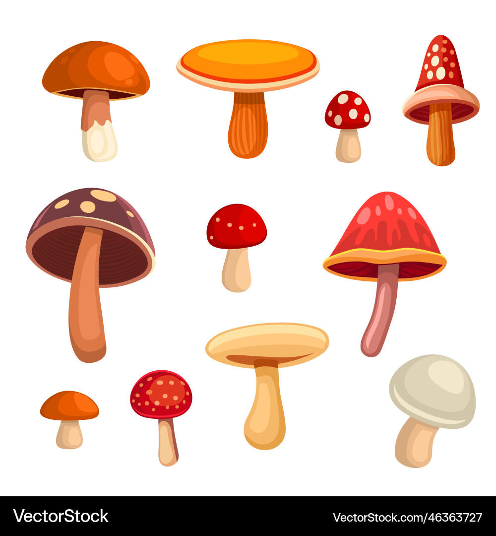 Cartoon style mushrooms set on white background Vector Image