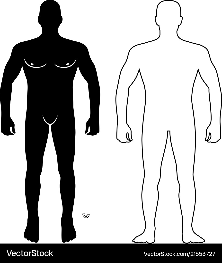 Fashion man body full length front view Royalty Free Vector