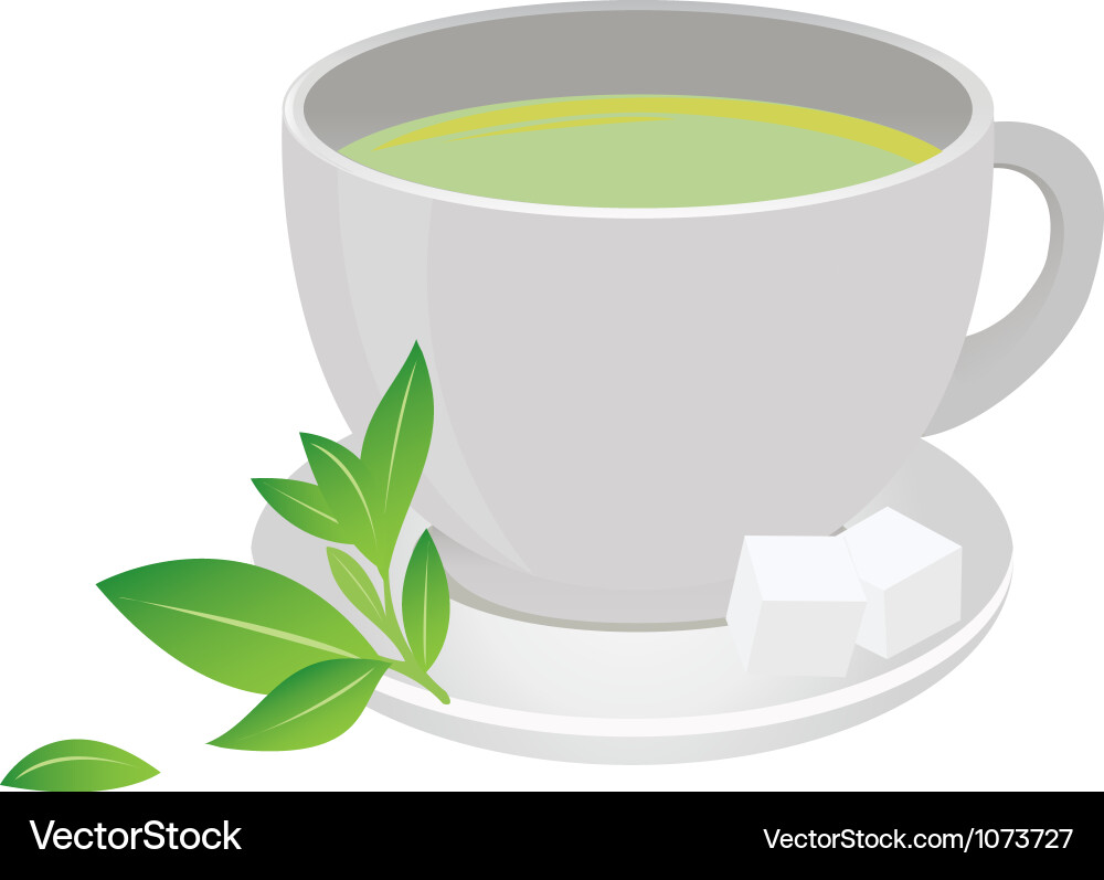Green tea Royalty Free Vector Image - VectorStock
