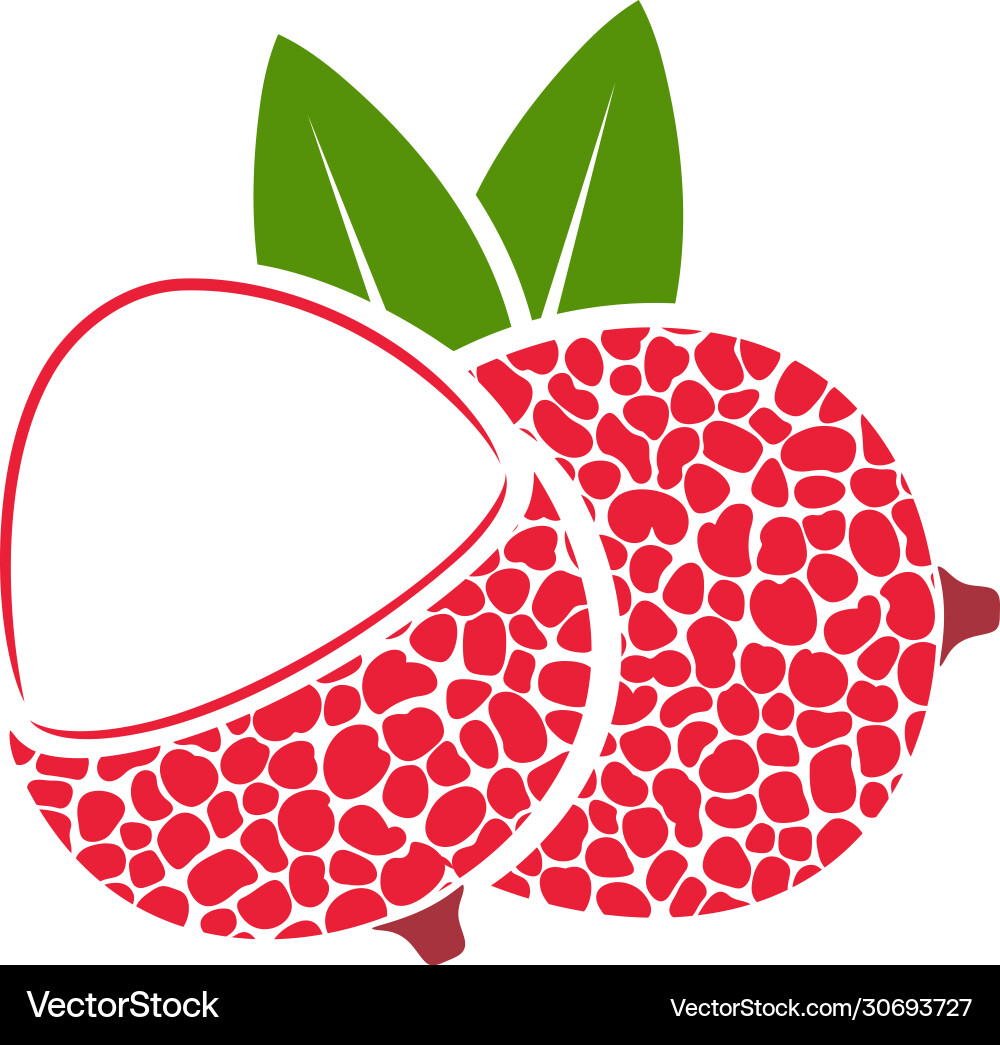 Lychee Royalty Free Vector Image - VectorStock