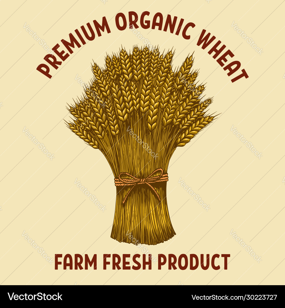 Premium organic wheat sheaf Royalty Free Vector Image