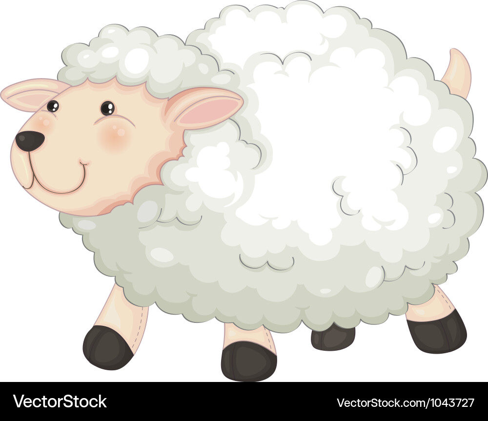 Sheep Royalty Free Vector Image - VectorStock