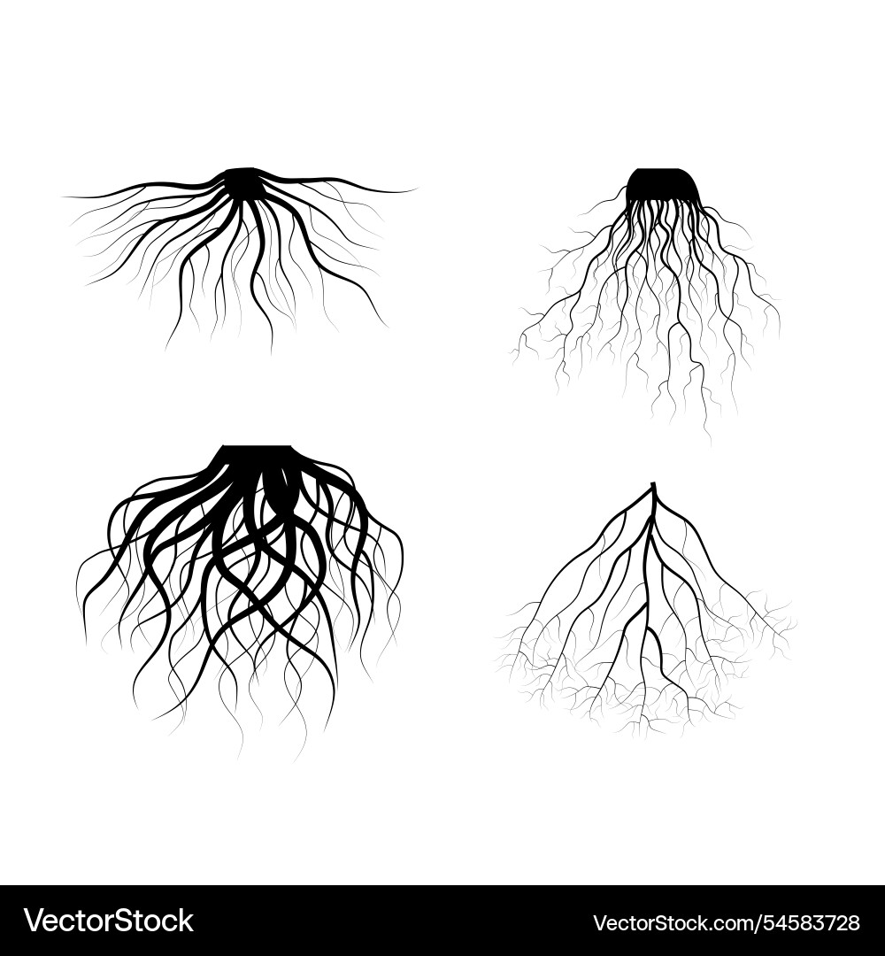 Silhouette black tree roots various types shapes Vector Image