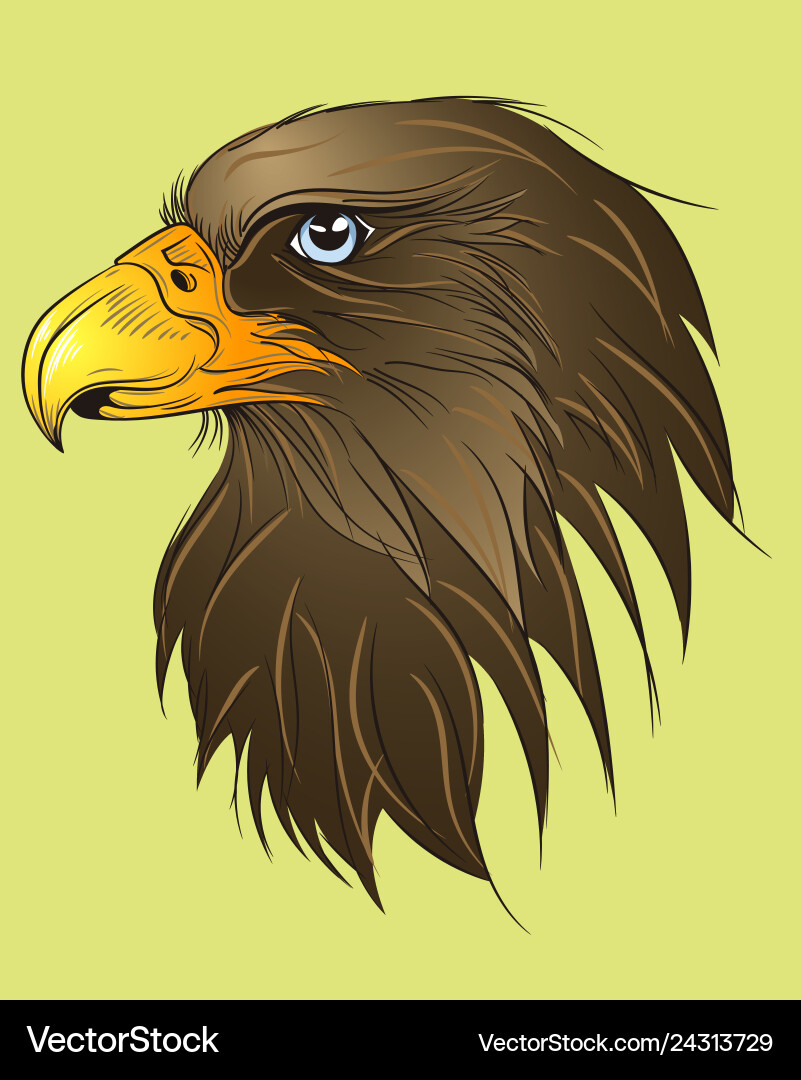 Hawk head green Royalty Free Vector Image - VectorStock