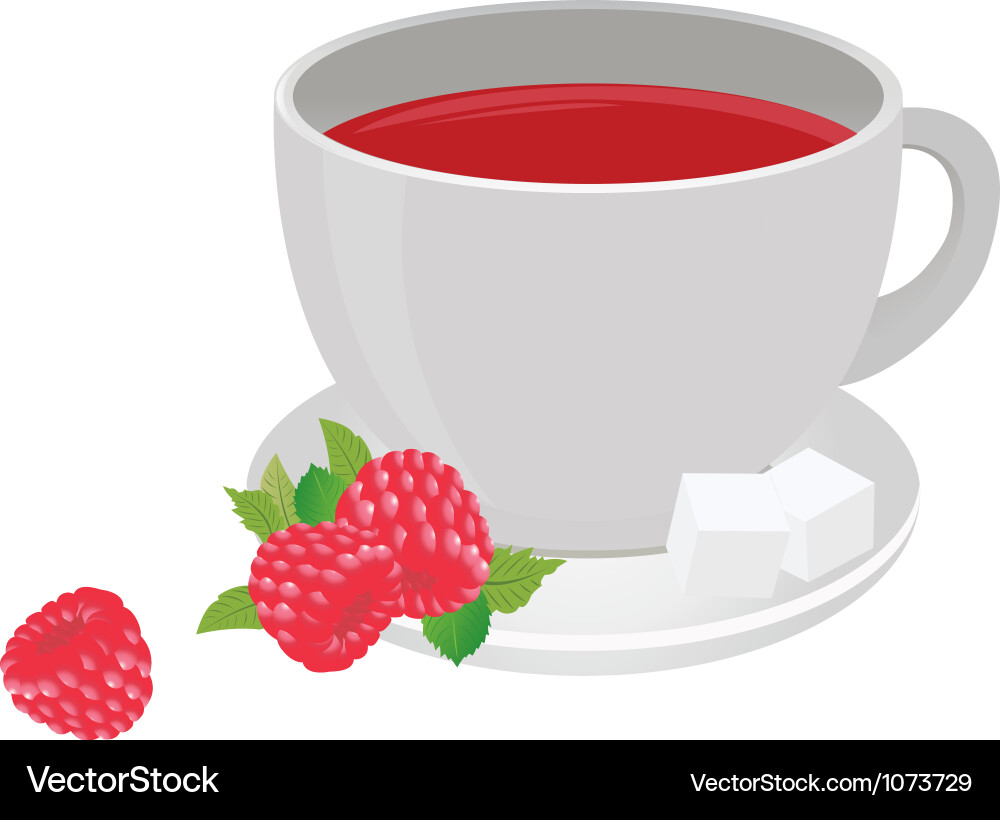 Tea cup Royalty Free Vector Image - VectorStock