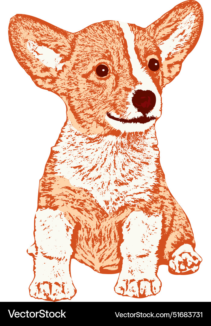 Corgi puppy Royalty Free Vector Image - VectorStock