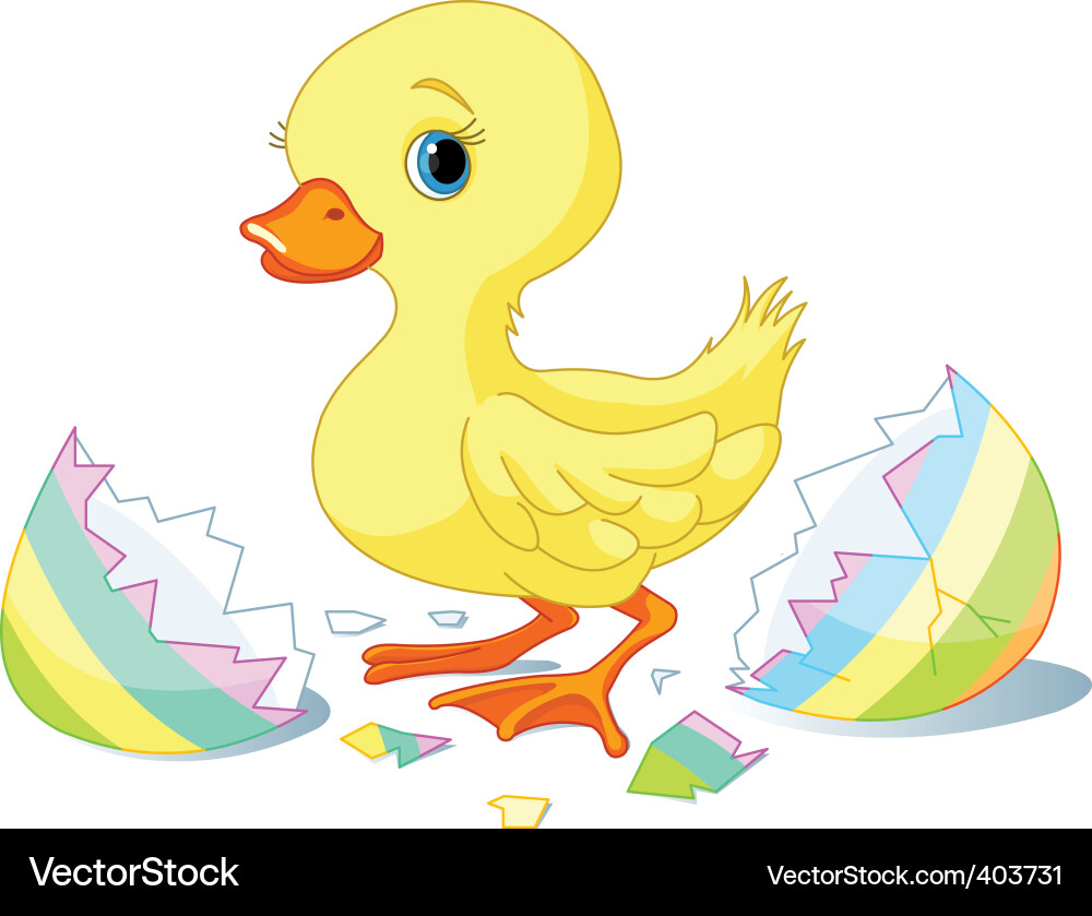 Jumping Duckling from Egg Royalty Free Vector Image