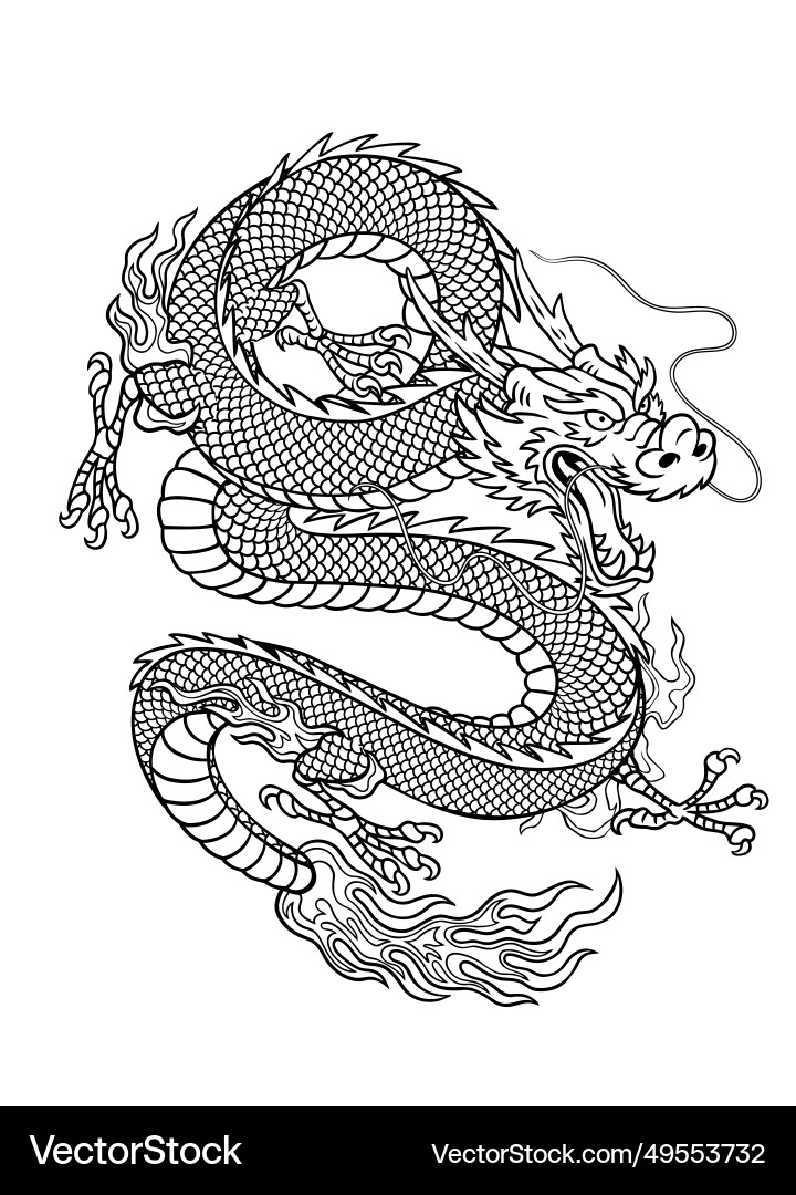 Asian Dragon Isolated On White Background Vector Image