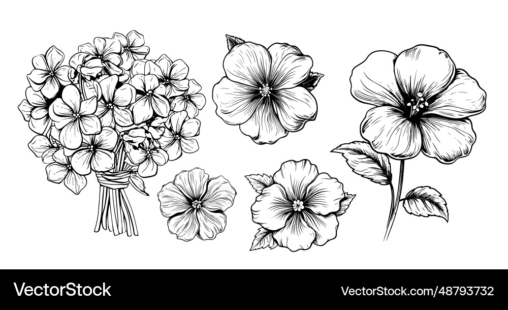 Violet flowers set sketch hand drawn Royalty Free Vector