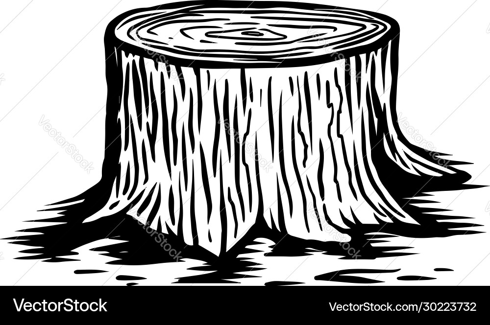 Wood stump in engraving style design element Vector Image