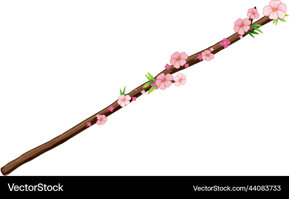Cherry blossom branch isolated Royalty Free Vector Image