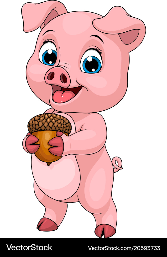 Young funny little piggy Royalty Free Vector Image