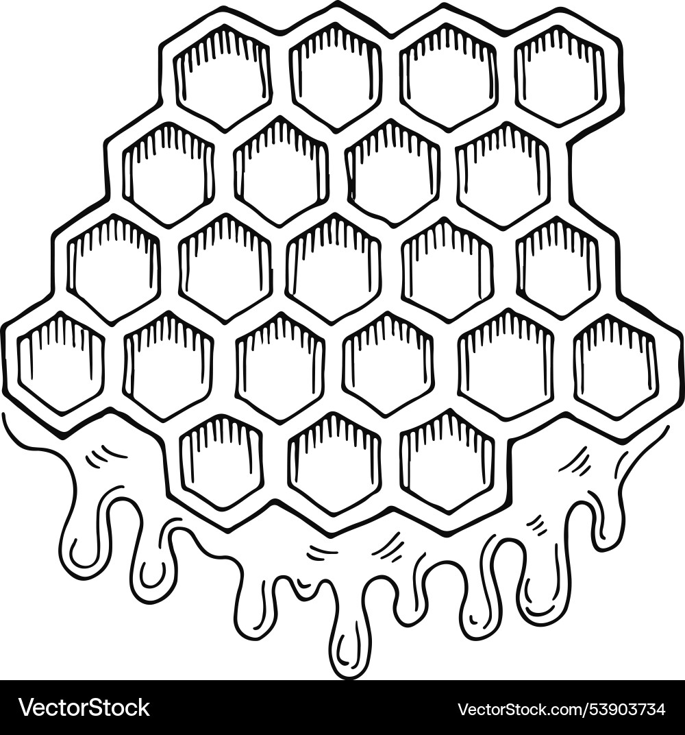 Honeycomb Dripping Honey Cell – Royalty-Free Vector | VectorStock