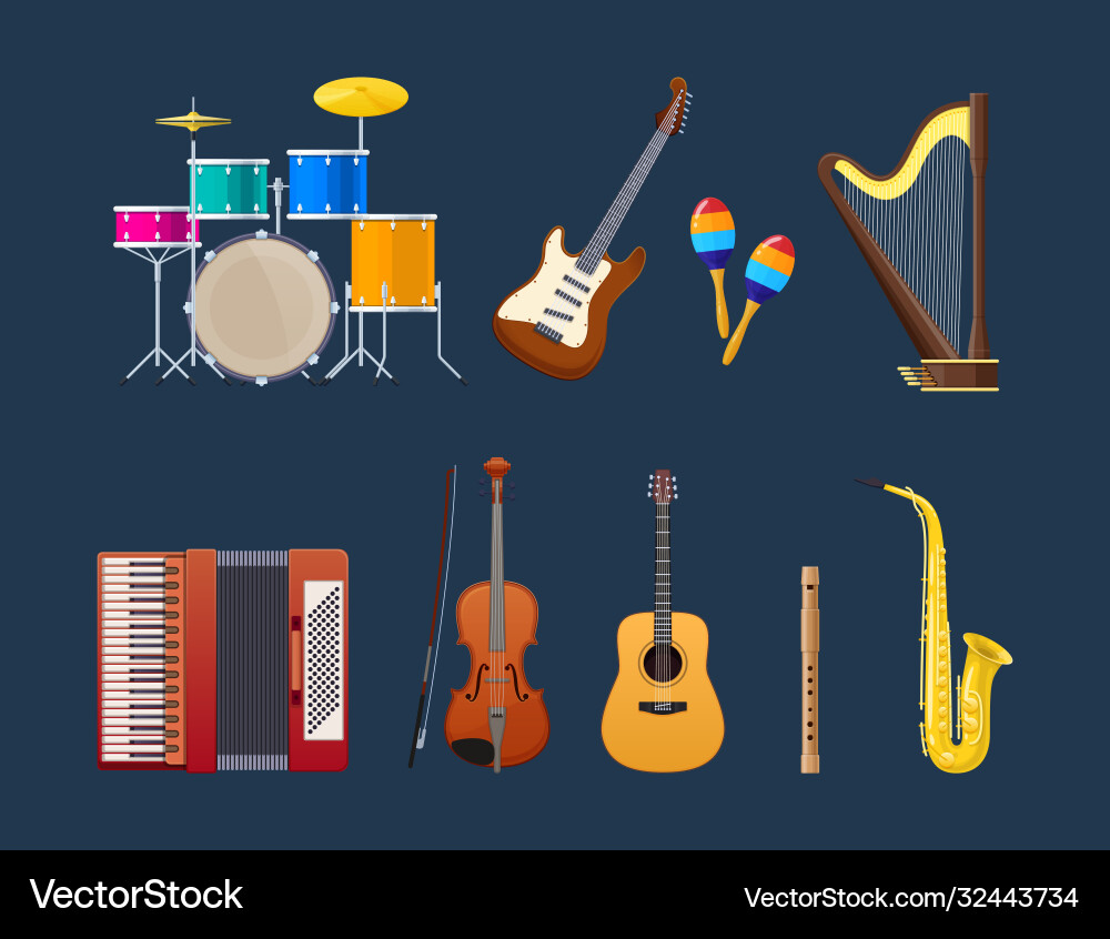 Set modern musical instruments percussion Vector Image