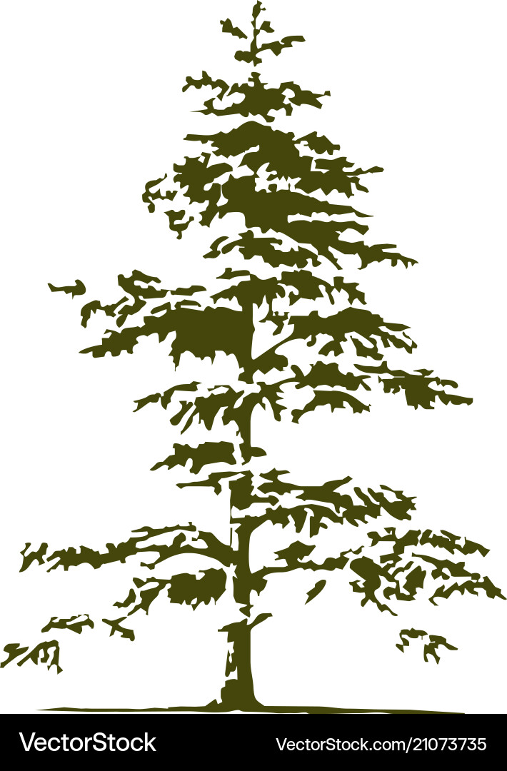 Cedar tree logo design template Royalty Free Vector Image