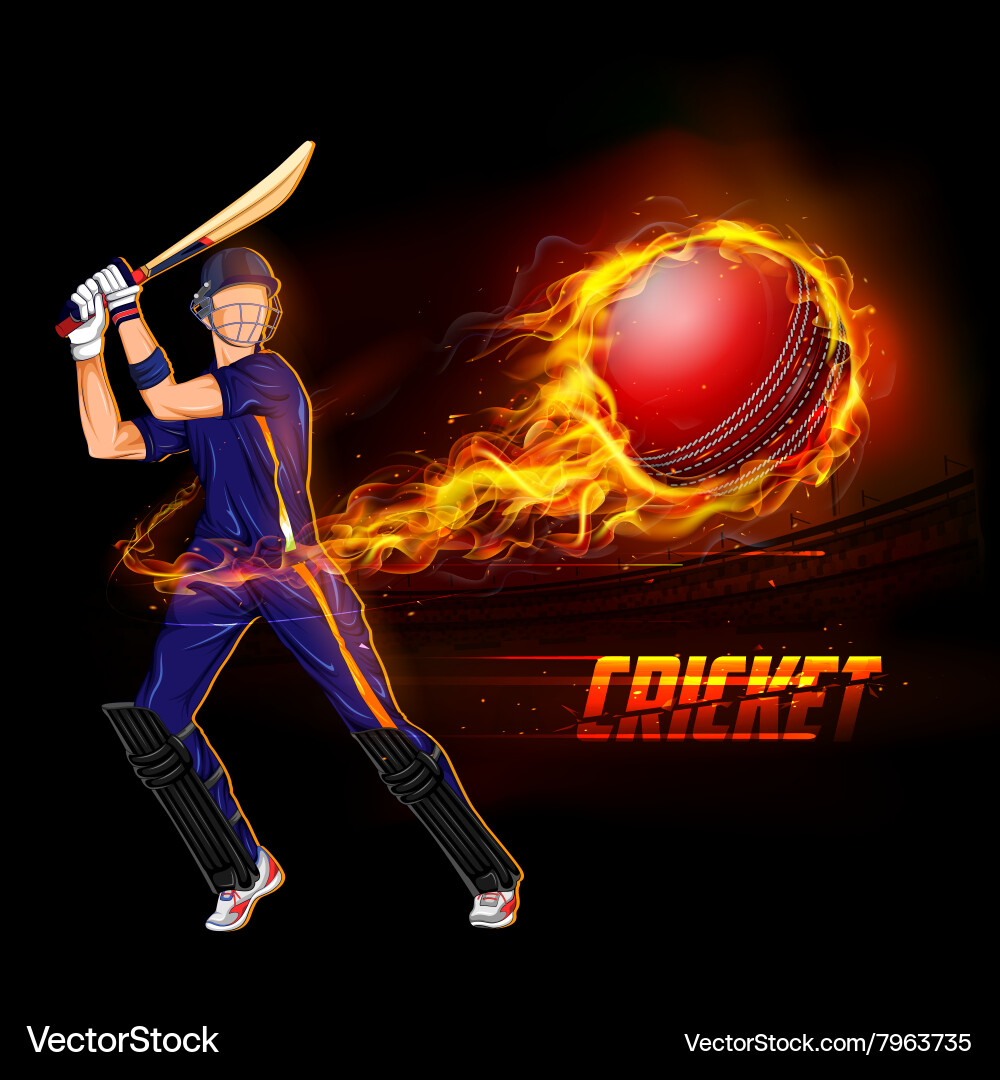 Fiery Cricket Match Royalty Free Vector Image - VectorStock