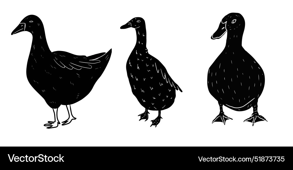 Set black animals 28052024 Royalty Free Vector Image