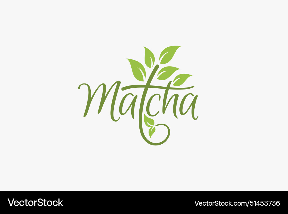 Matcha logo with beautiful lettering Royalty Free Vector