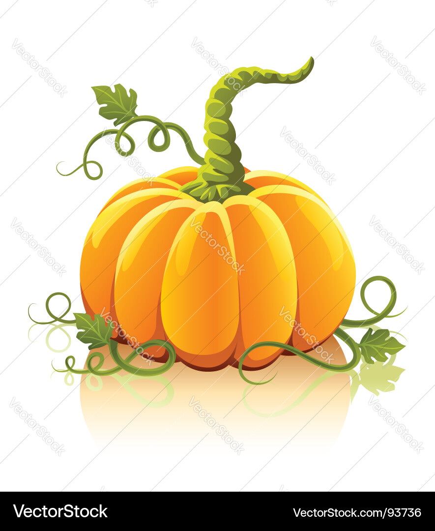 Pumpkin Royalty Free Vector Image - VectorStock