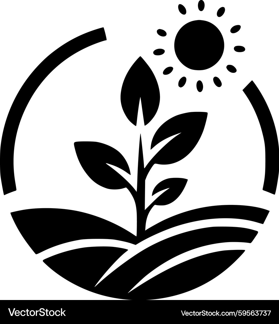 Sprouting Seedling (59563737) – Royalty-Free Vector | VectorStock