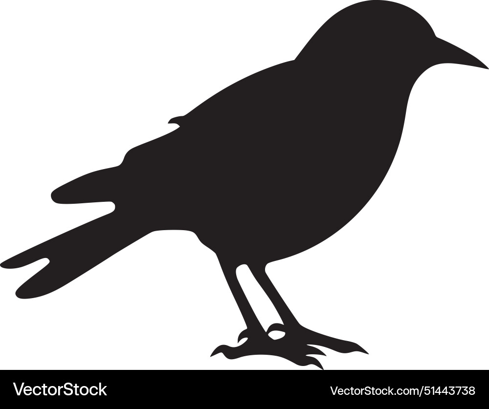 Magpie Outline Vector Images (over 240)