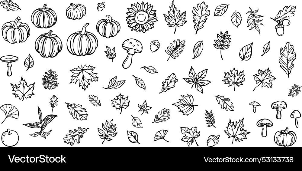 Cute autumn doodle elements clip art Royalty Free Vector