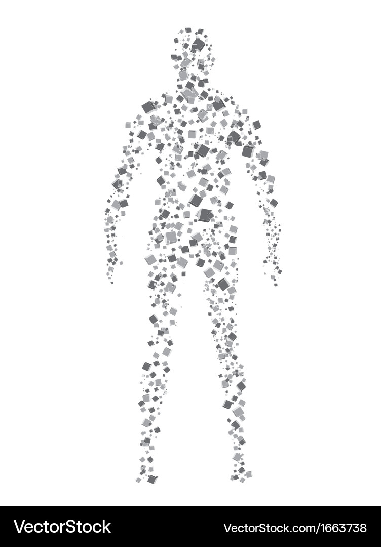 Human icon Royalty Free Vector Image - VectorStock