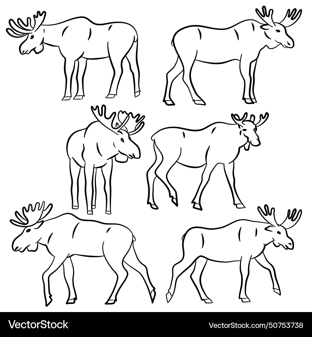 Moose outline set Royalty Free Vector Image - VectorStock
