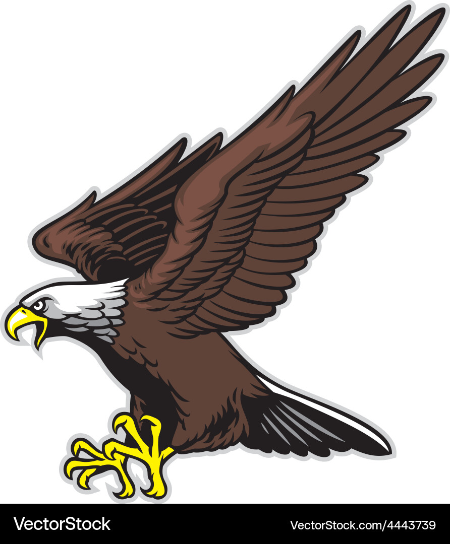 Flying eagle Royalty Free Vector Image - VectorStock
