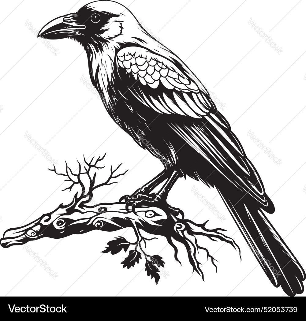 Ravens watch skull emblem gothic sentinel Vector Image
