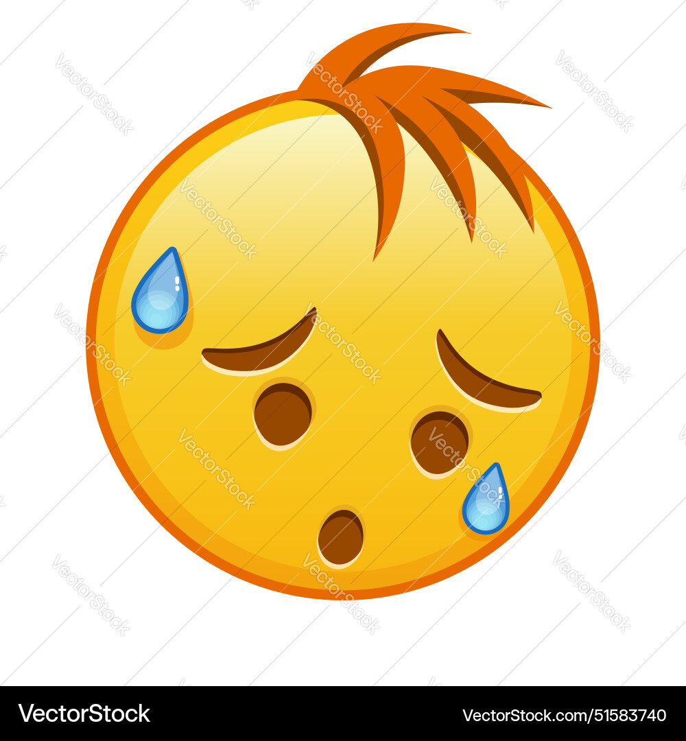 Face with an expression of disappointment Vector Image